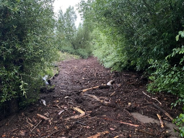 Flooding Shuts Down Popular National Park Road
