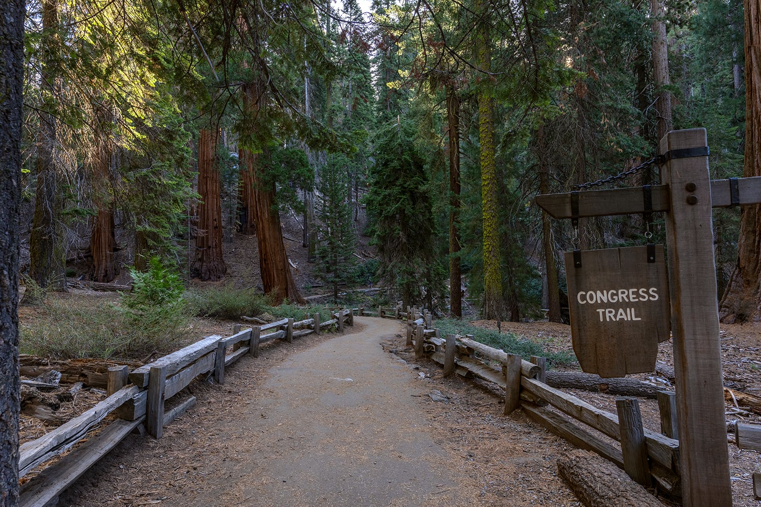 Trails I’ve Hiked: Congress Trail