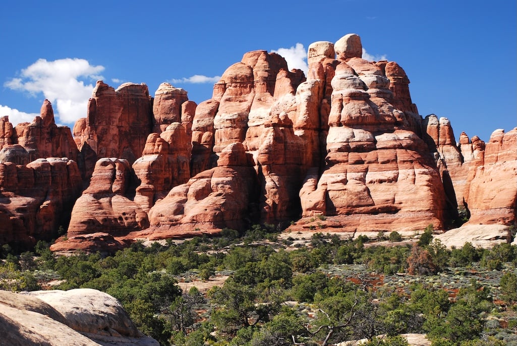 Trump Moves To Open Federal Lands To More Off-Road Vehicle Use