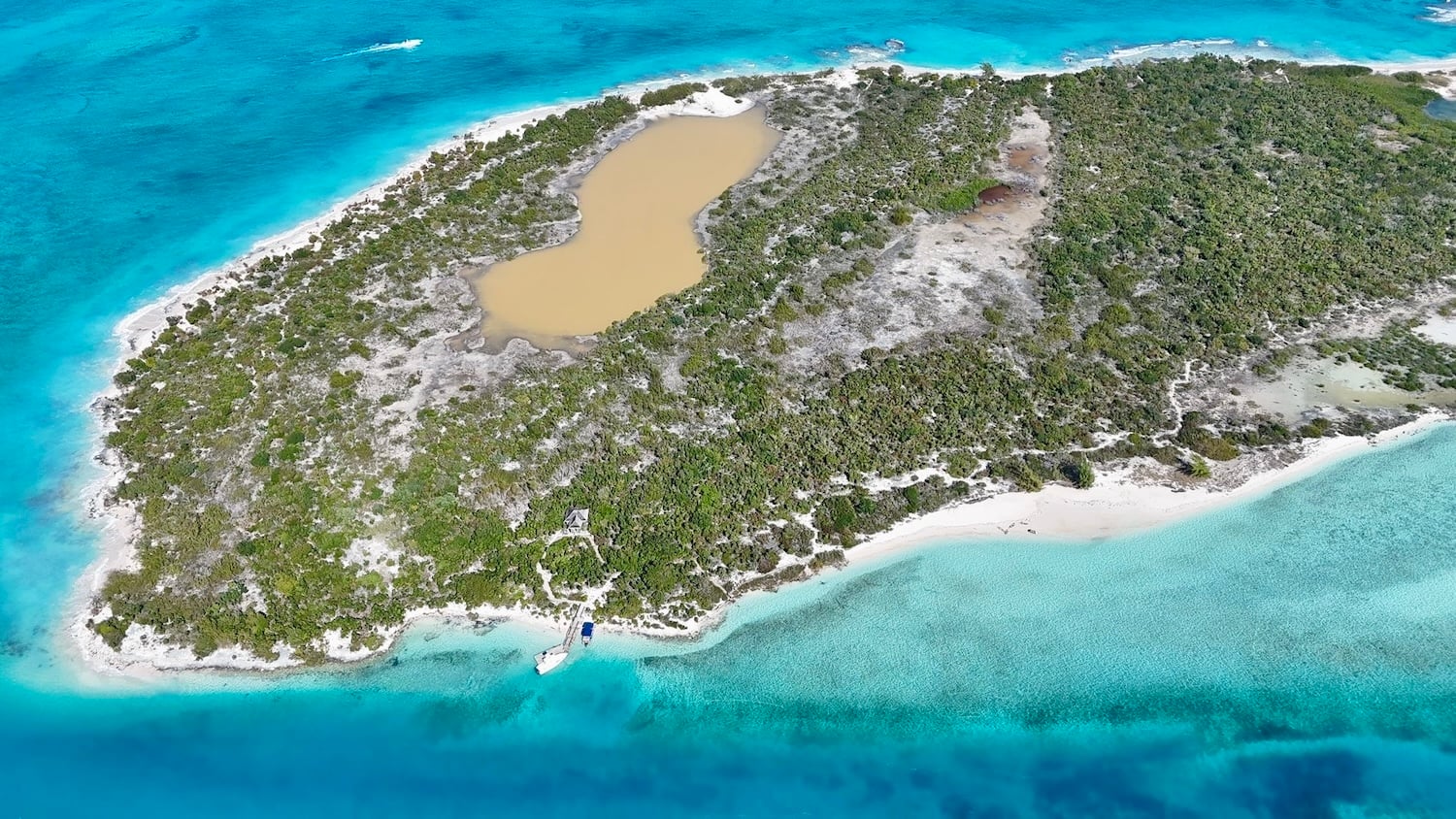 Protecting Endangered Rock Iguanas In The Turks And Caicos Islands