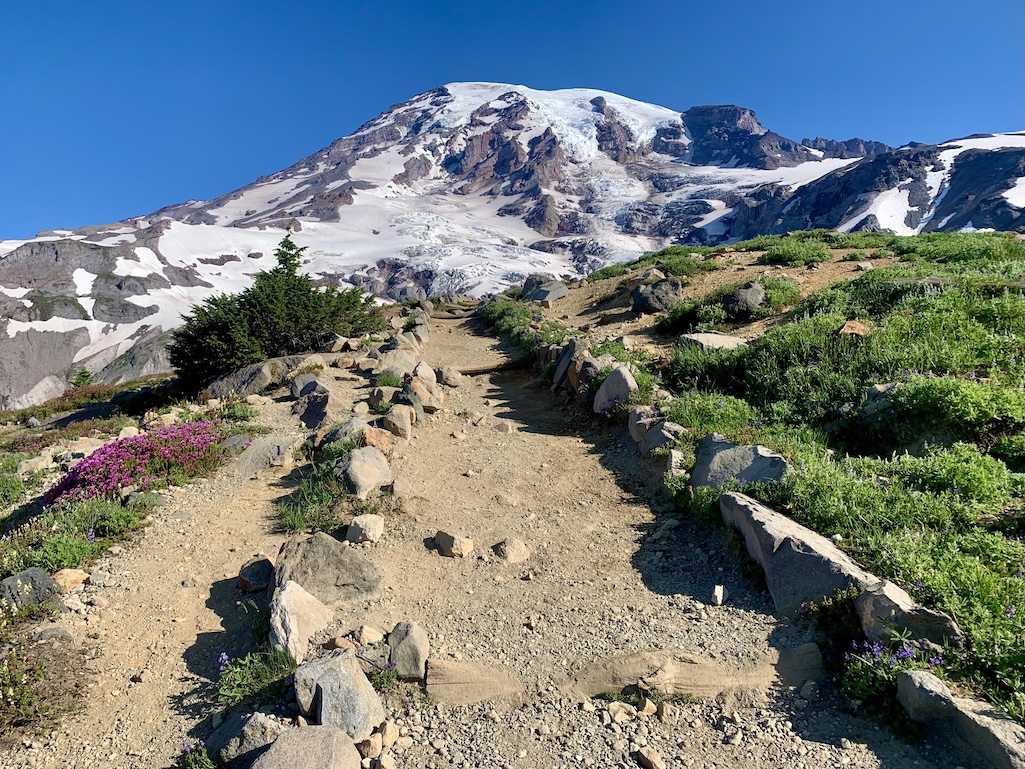 Restoring Paradise: How Donors Are Preserving National Parks