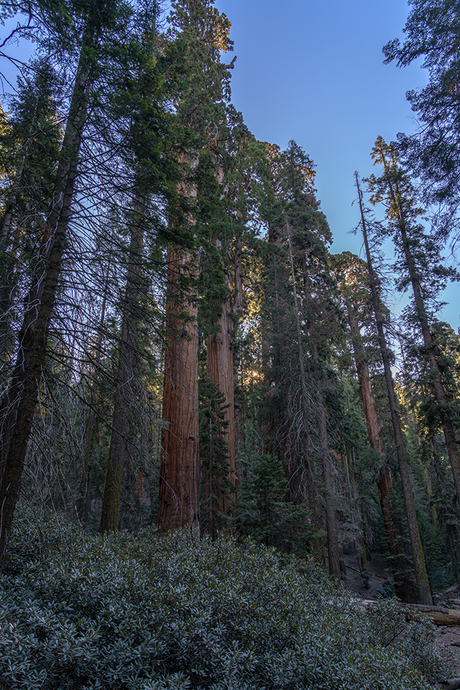 Photography In The National Parks: Sequoia And Kings Canyon
