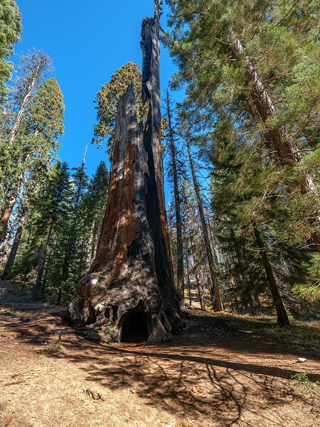 Trails I’ve Hiked: Crescent Meadow Loop