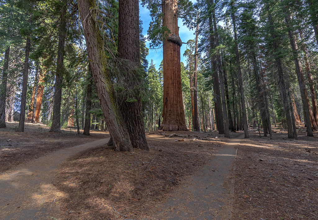 Trails I’ve Hiked: Congress Trail