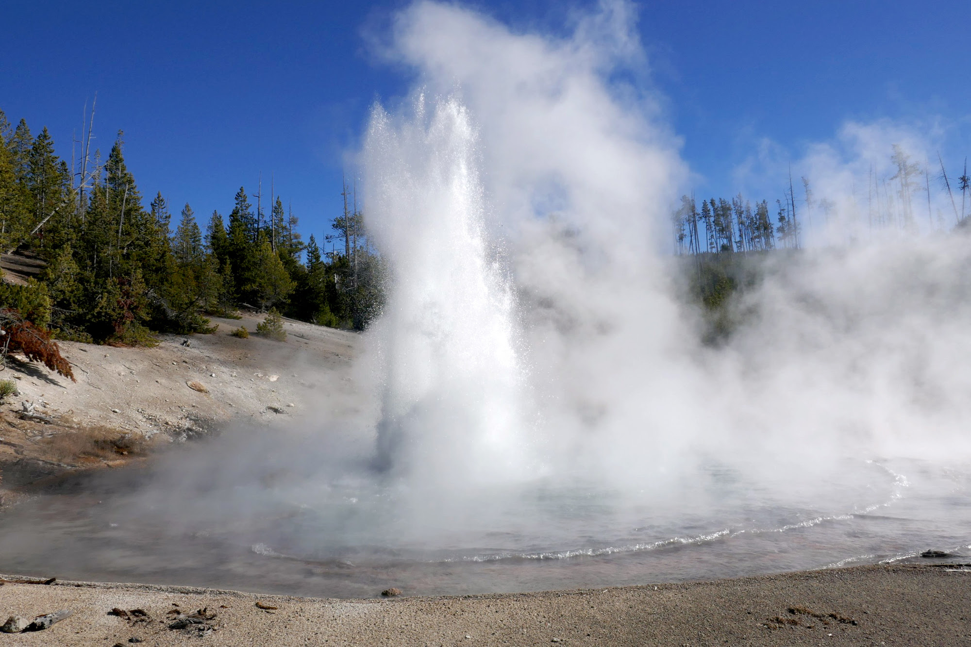 Yellowstone's Echinus Geyser Is Back In Action