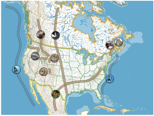 Democrats Introduce "Wildlife Corridors Conservation Act" To Help ...