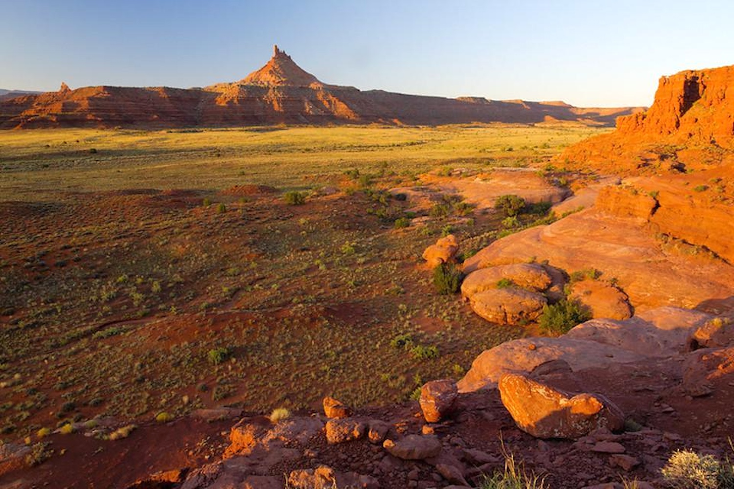 2023 In Review | Some Of The Top Stories From Around The National Park ...