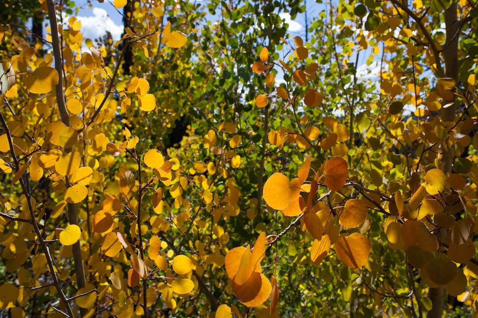 Bryce Canyon National Park Ready For Fall Visitors