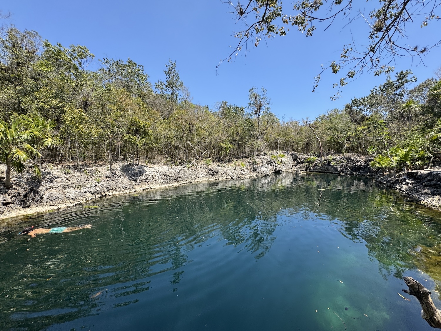 In Cuba, A National Park Breeds Crocodiles
