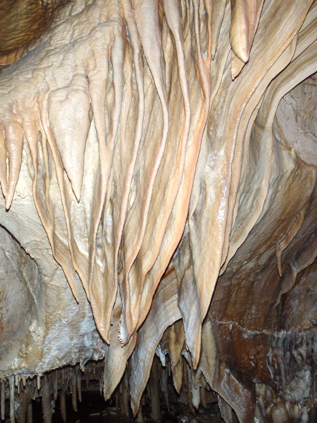 Jewel Cave National Monument Tours To Halt Temporarily