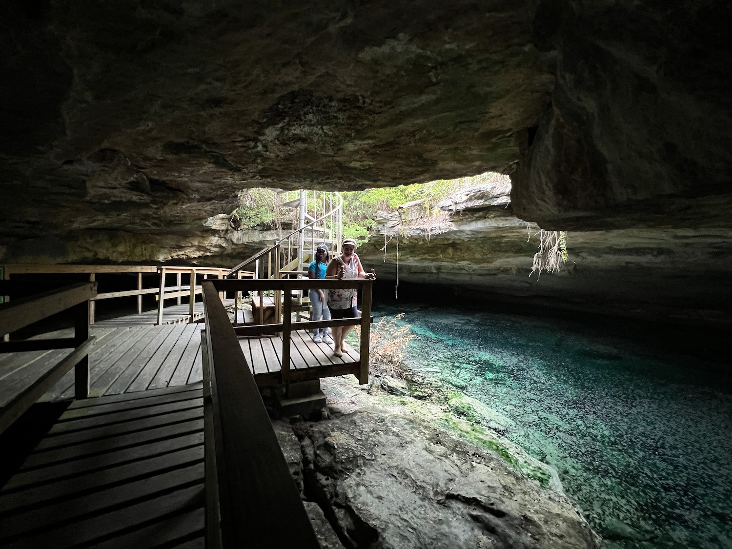 Exploring Pine Forests And Mangroves In Grand Bahama's National Parks