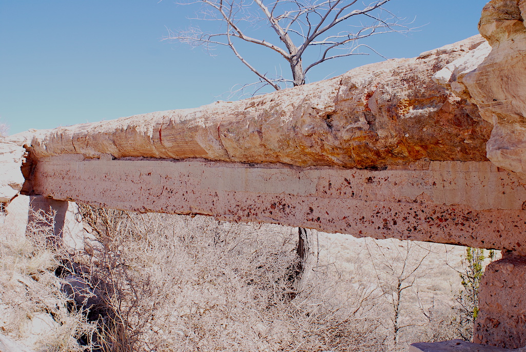Onyx Bridge At Petrified Forest National Park Felled By Gravity