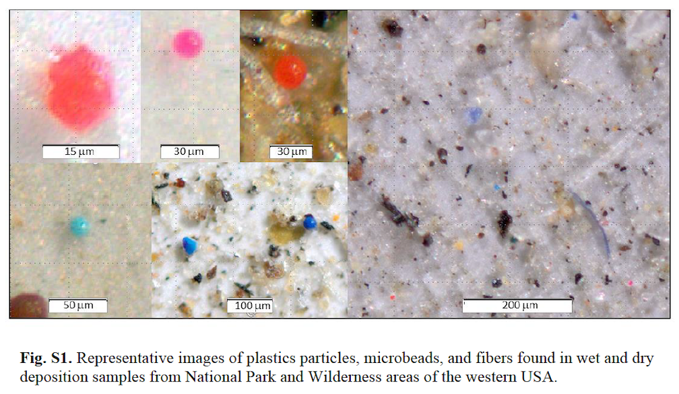 Microscopic Plastics Adding To Pollution Load In Western National Parks