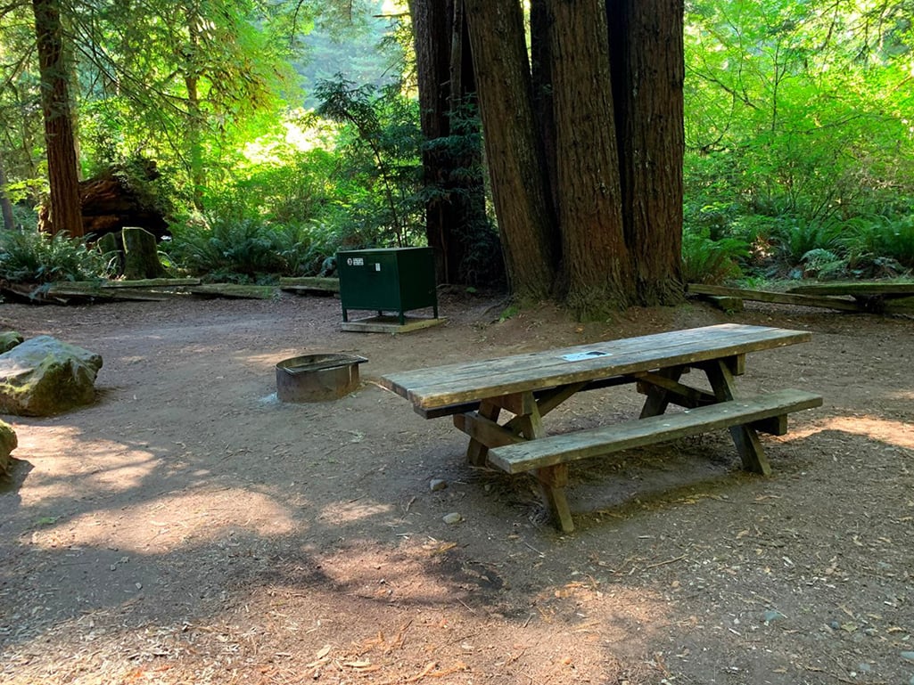 Lodging And Camping At Redwood National And State Parks