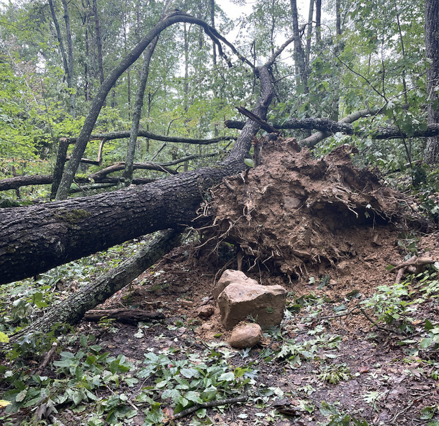 10 Miles Of Cumberland Gap Trails Have Been Cleared After Hurricane Damage