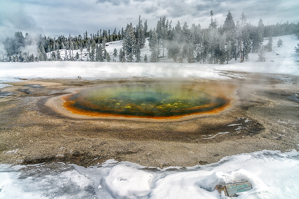 Winter In Yellowstone