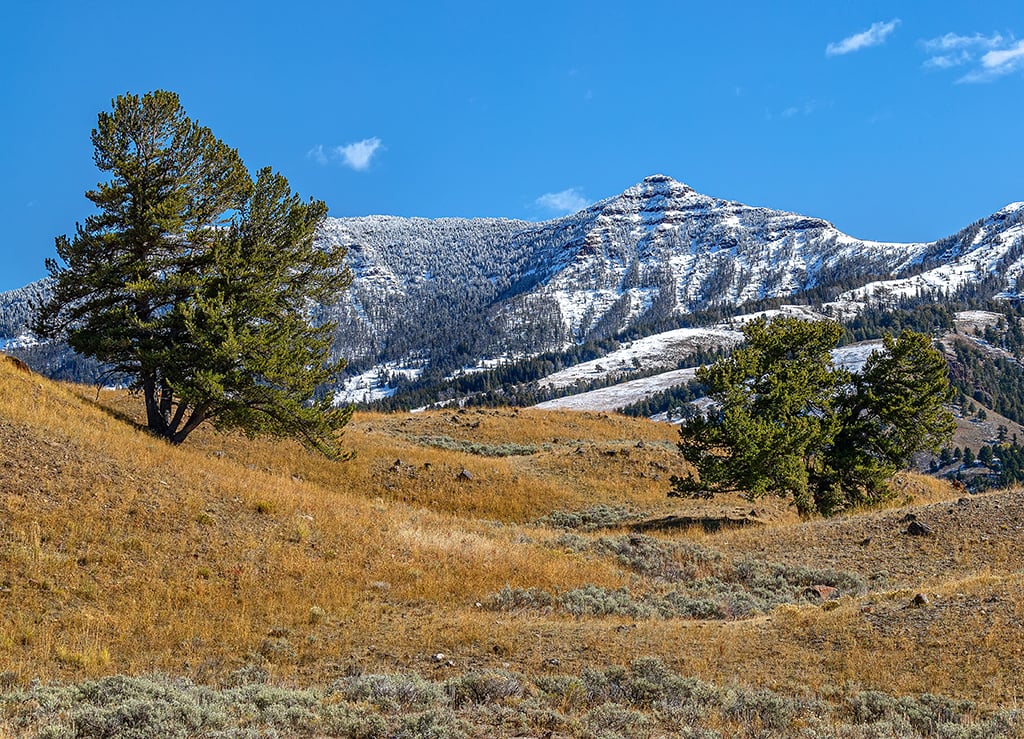 Photography In The National Parks: Bringing It All Together In Yellowstone