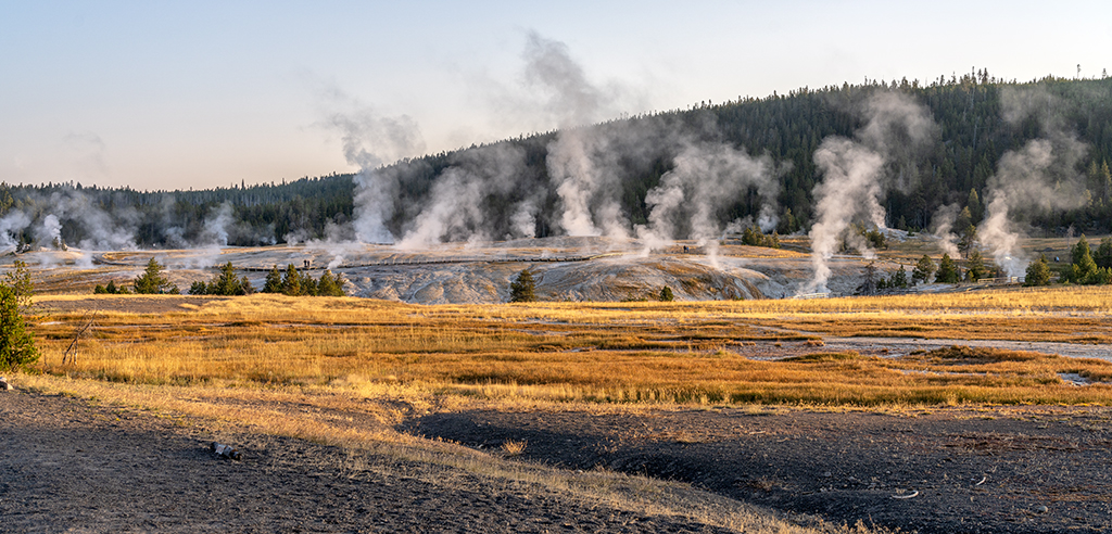 Negotiating Yellowstone