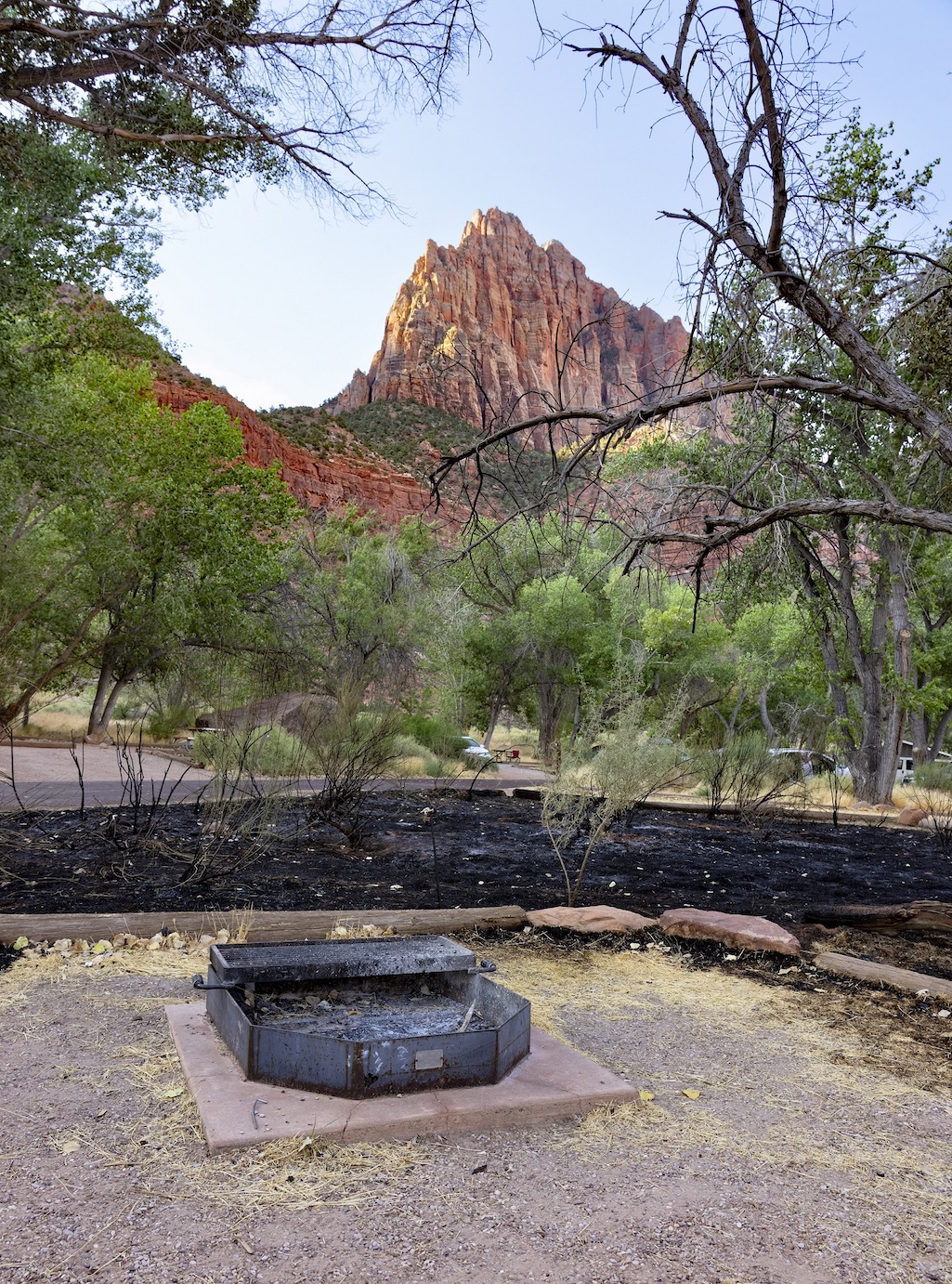 Fire Ban Comes To Zion National Park