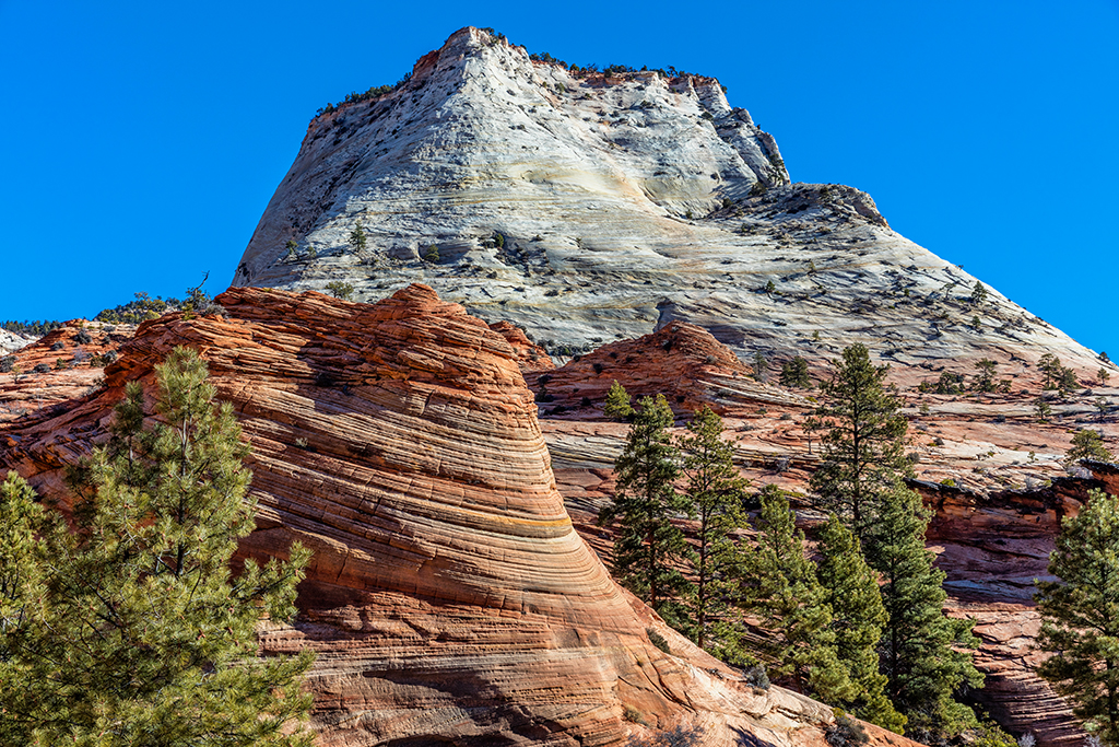 Zion National Park Geology