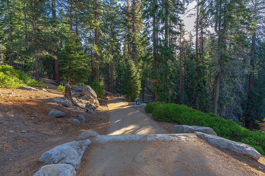 Trails I’ve Hiked: The General Sherman Tree Trail