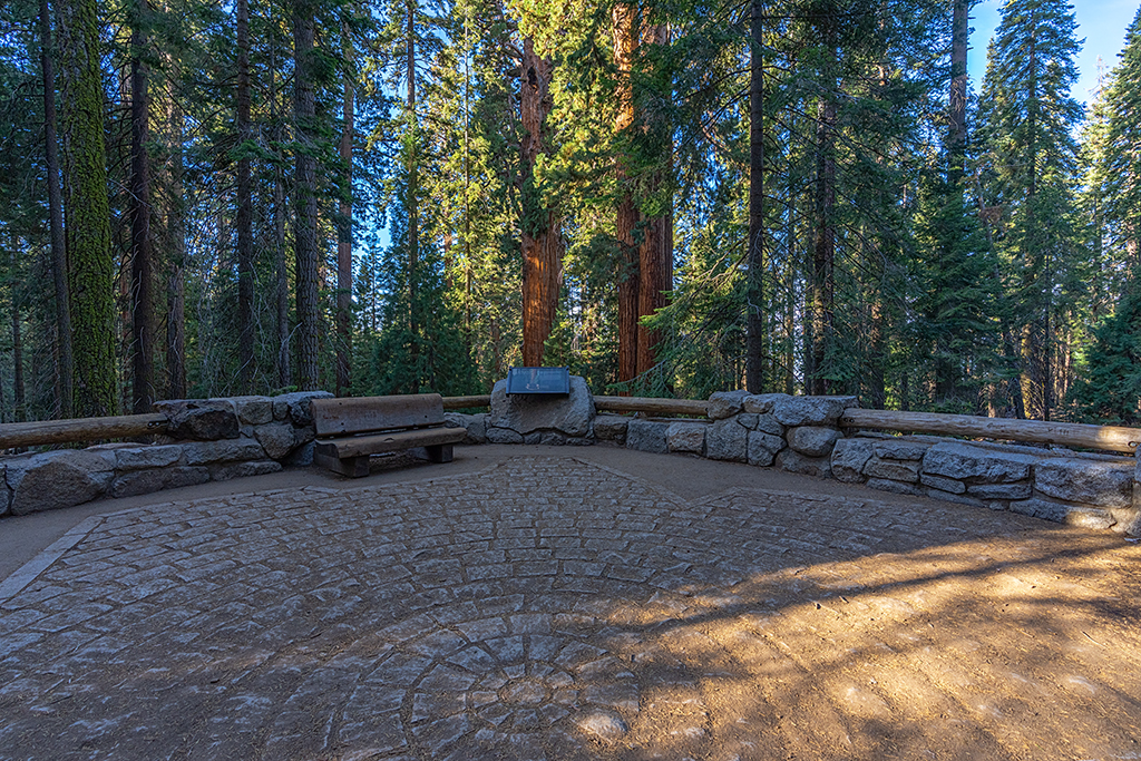 Trails I’ve Hiked: The General Sherman Tree Trail
