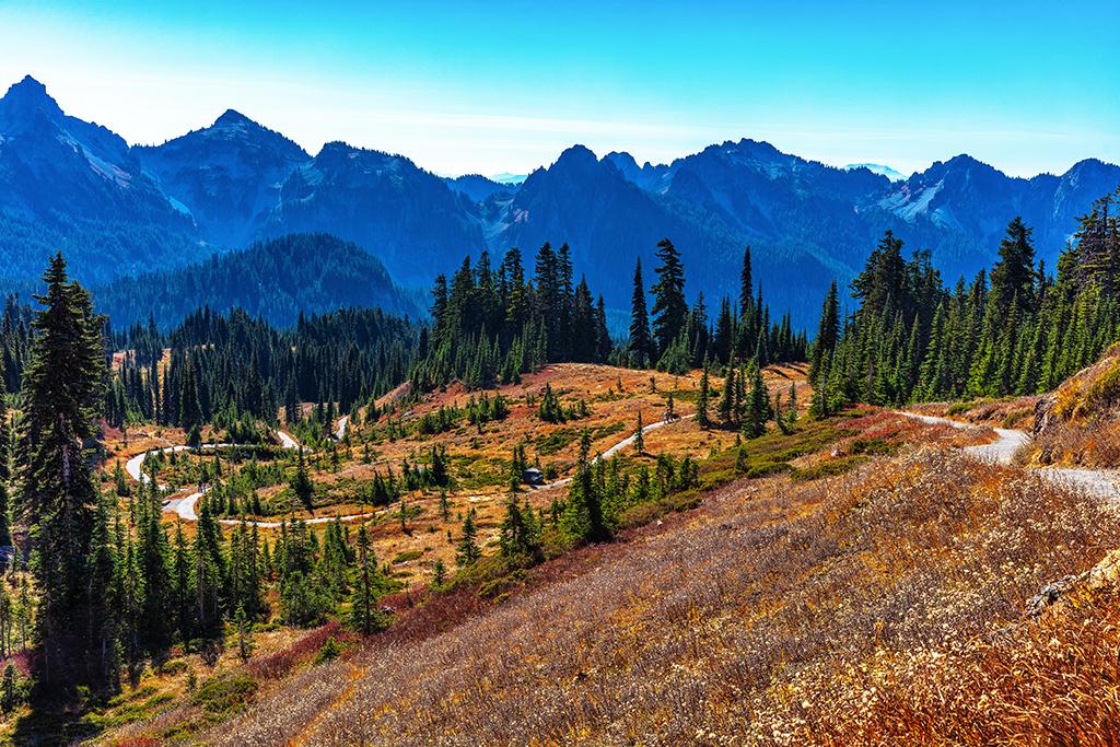 The view down the winding trail at Paradise in Mount Rainier National ...