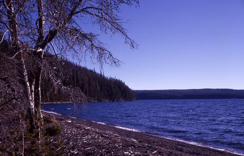 Visiting the Parks: Yellowstone National Park's Shoshone Lake ...