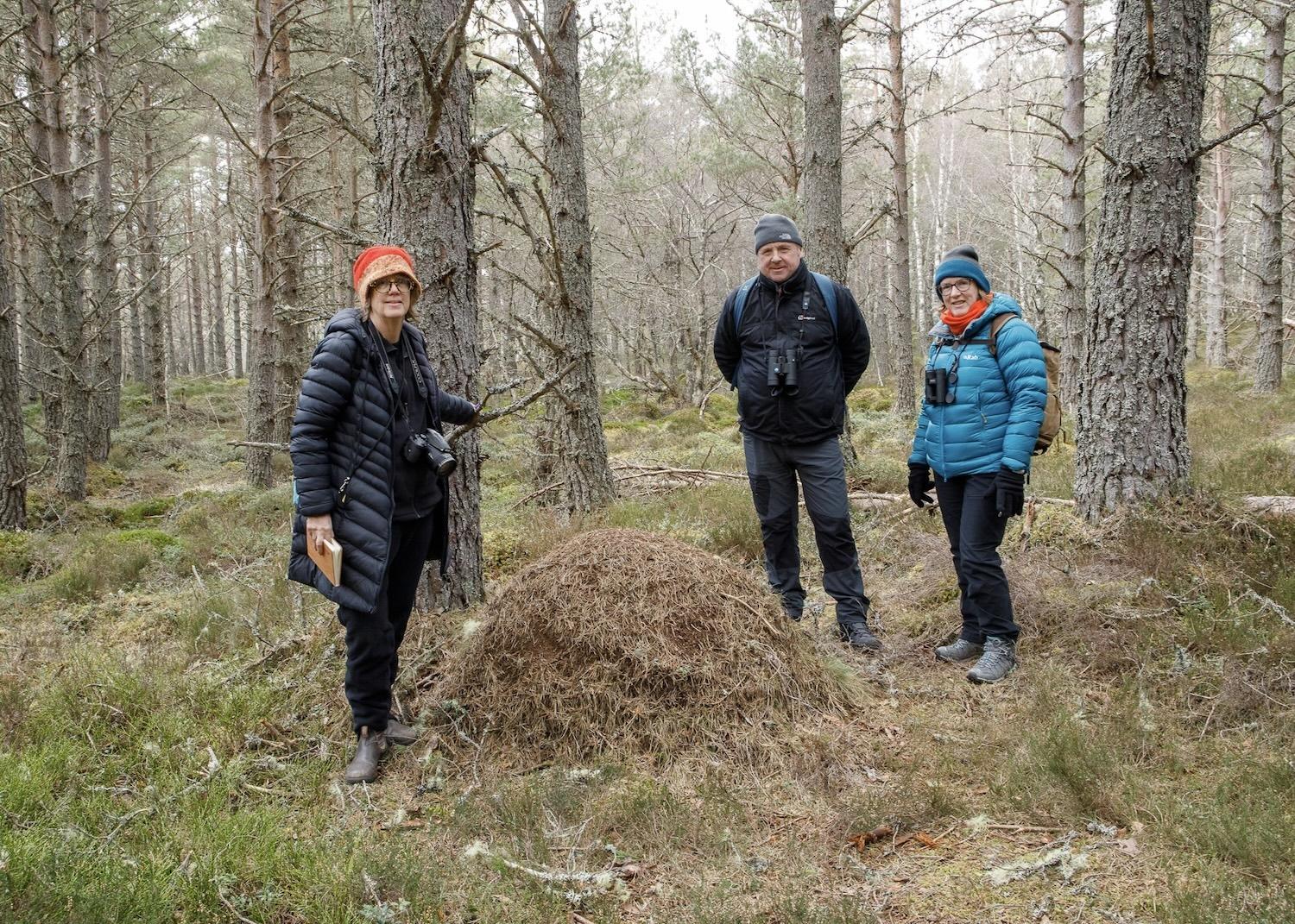 Lessons In Rewilding The Scottish Highlands