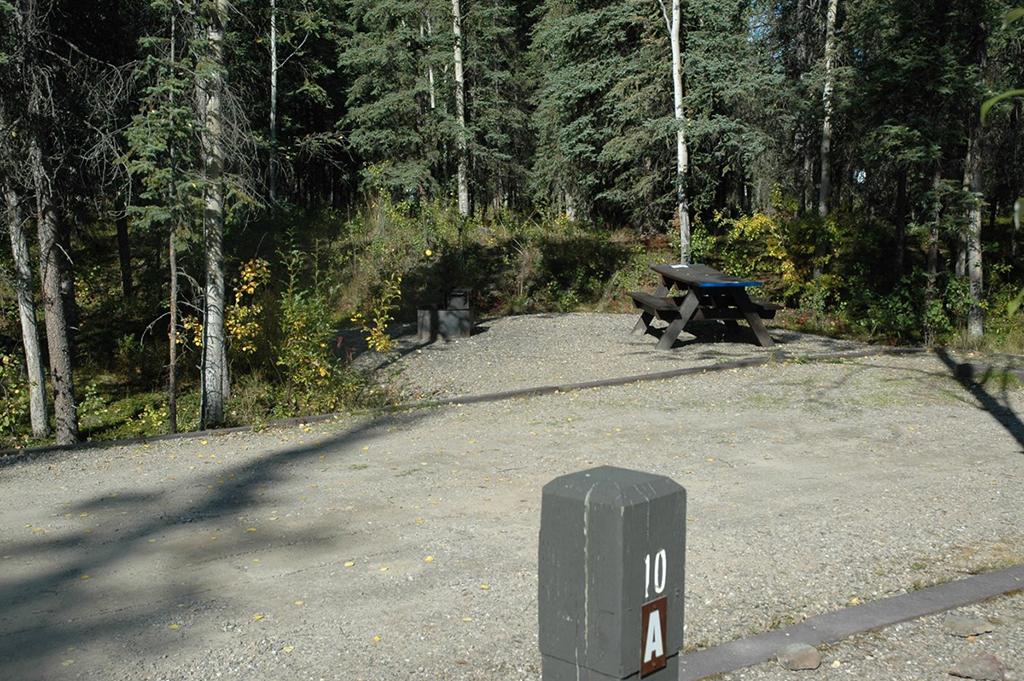 Camping In Denali
