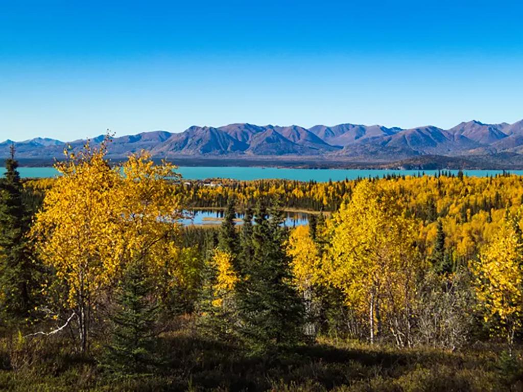 Hiking In Lake Clark National Park And Preserve