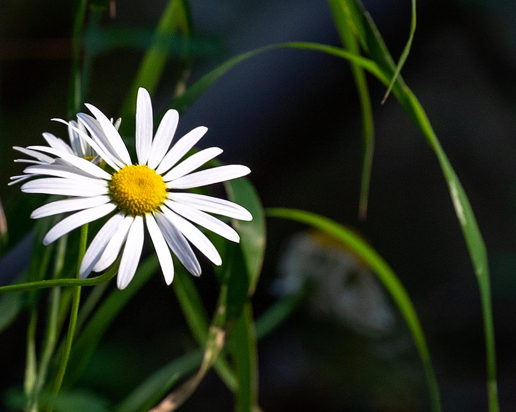 Photography In The National Parks: Your Armchair Photography Guide To ...