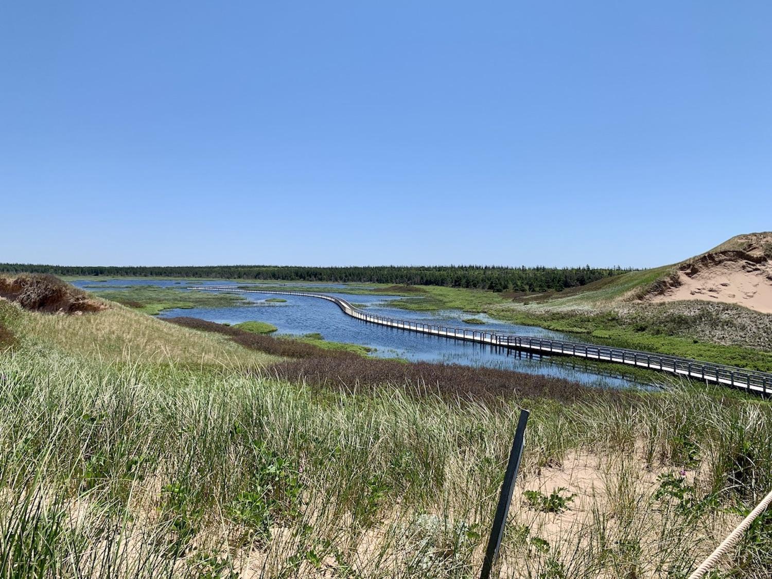 Protecting P.E.I.'s Sand Dunes From Footsteps