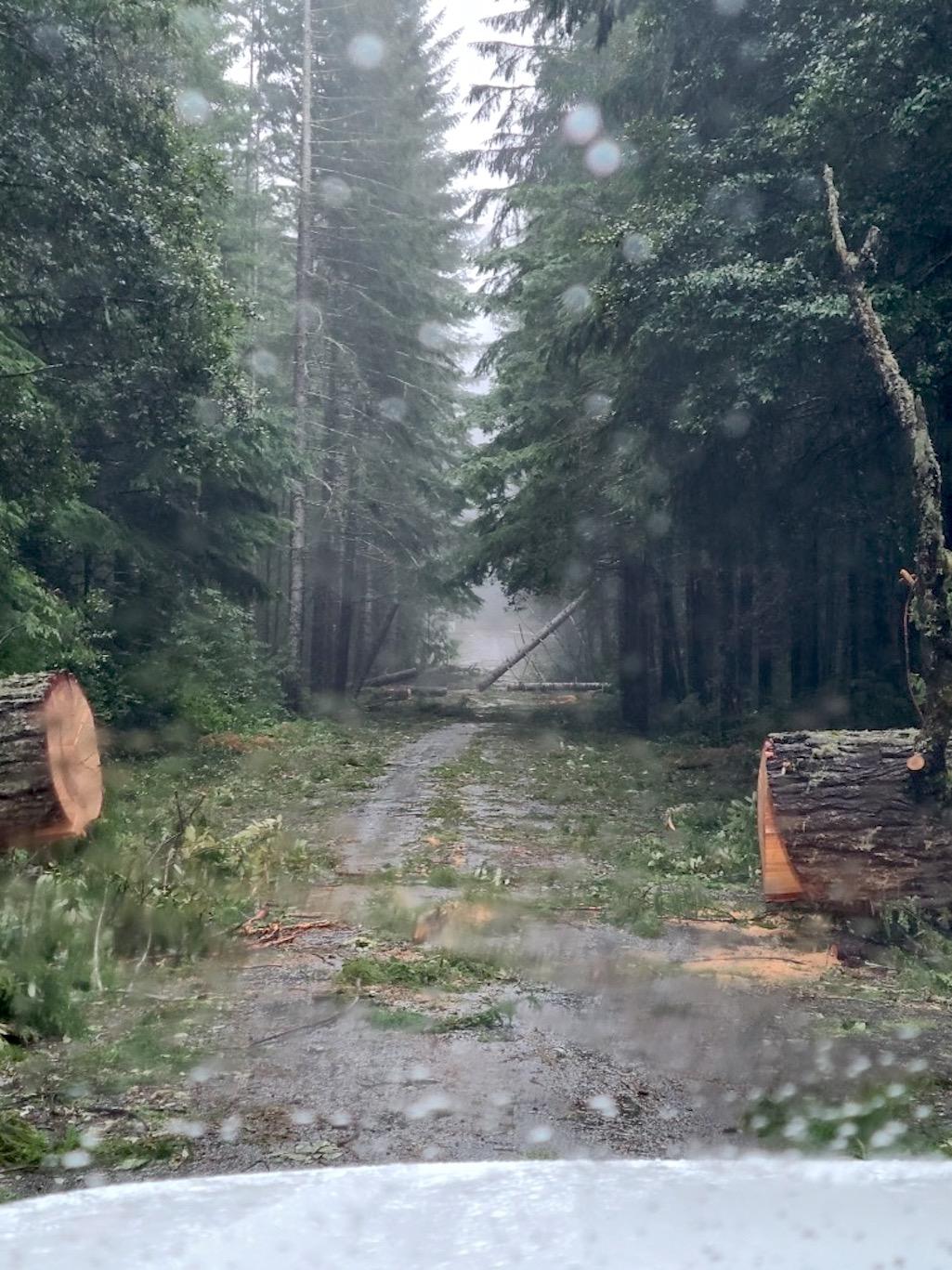 California Storms Impacting Multiple Park Units